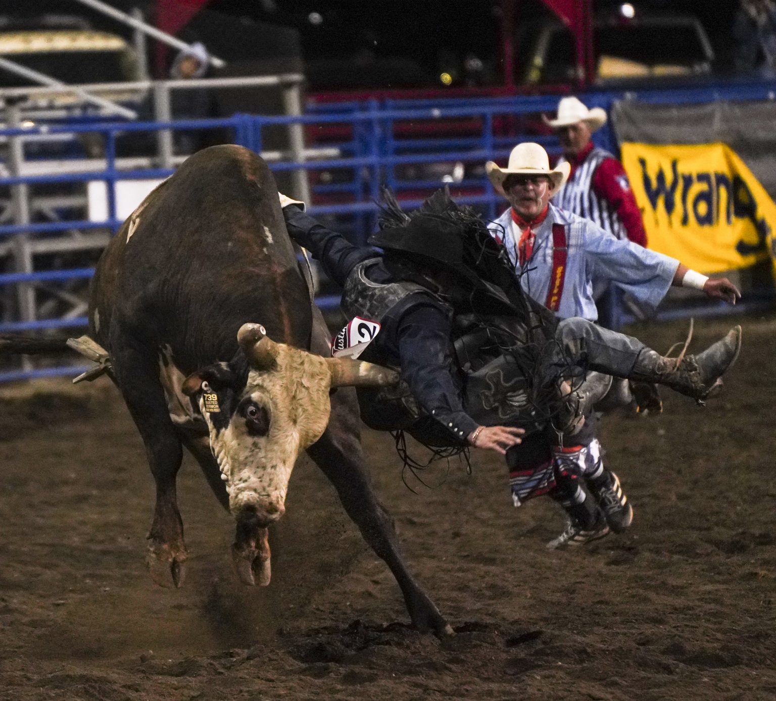 Photos: Steamboat Springs Pro Rodeo brings the bucks | SteamboatToday.com